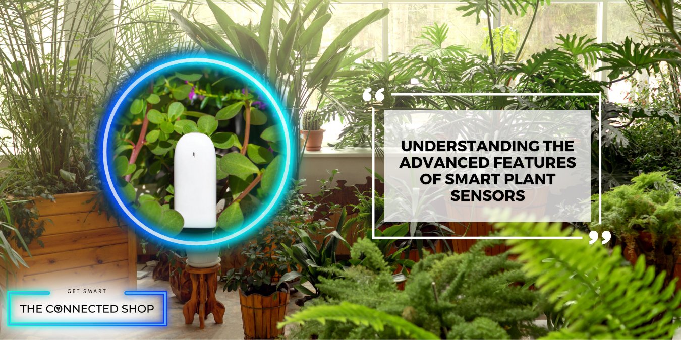 Maximize Your Green Thumb: Top Tips for Using Smart Plant Sensors – The Connected Shop