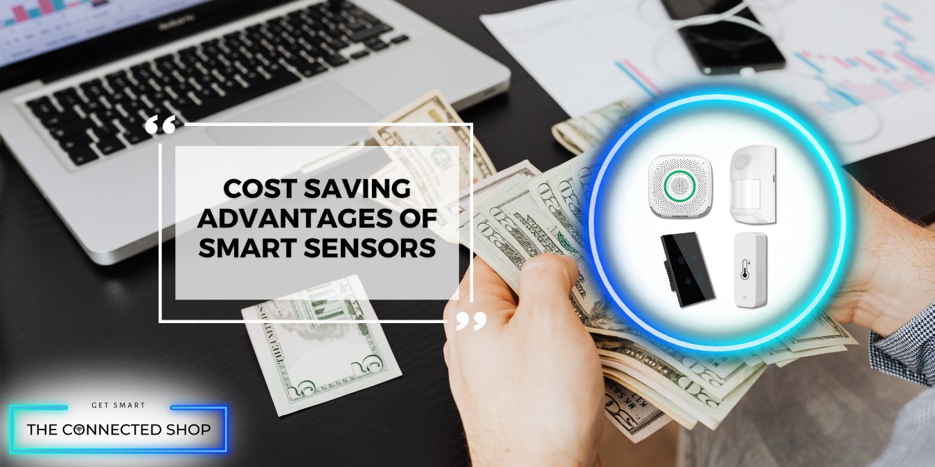 The Economic Edge: Top 5 Financial Advantages of Investing in Smart Se